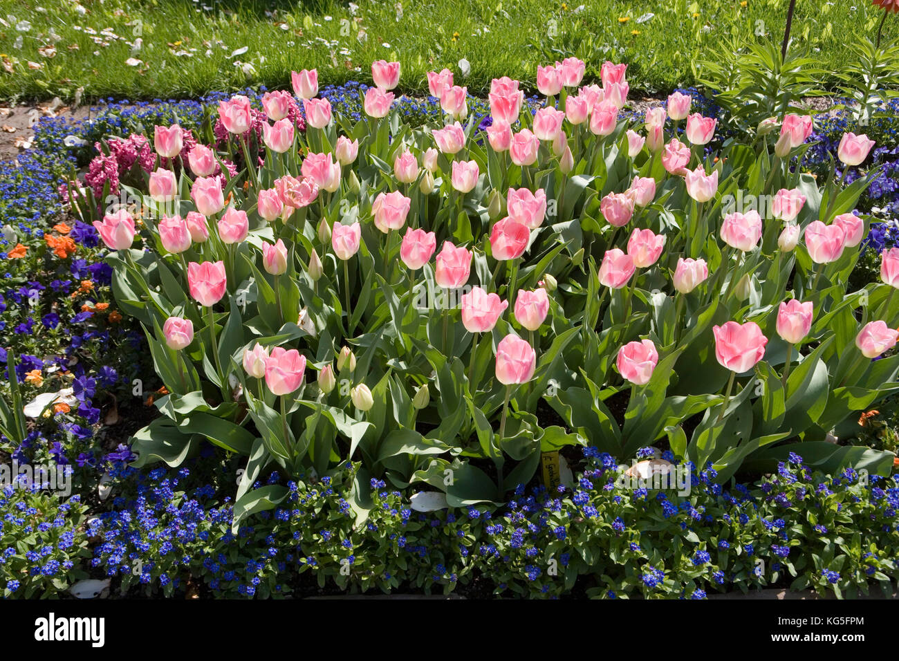 Botanischer Garten München-Nymphenburg (botanical garden), approx. 16 ...