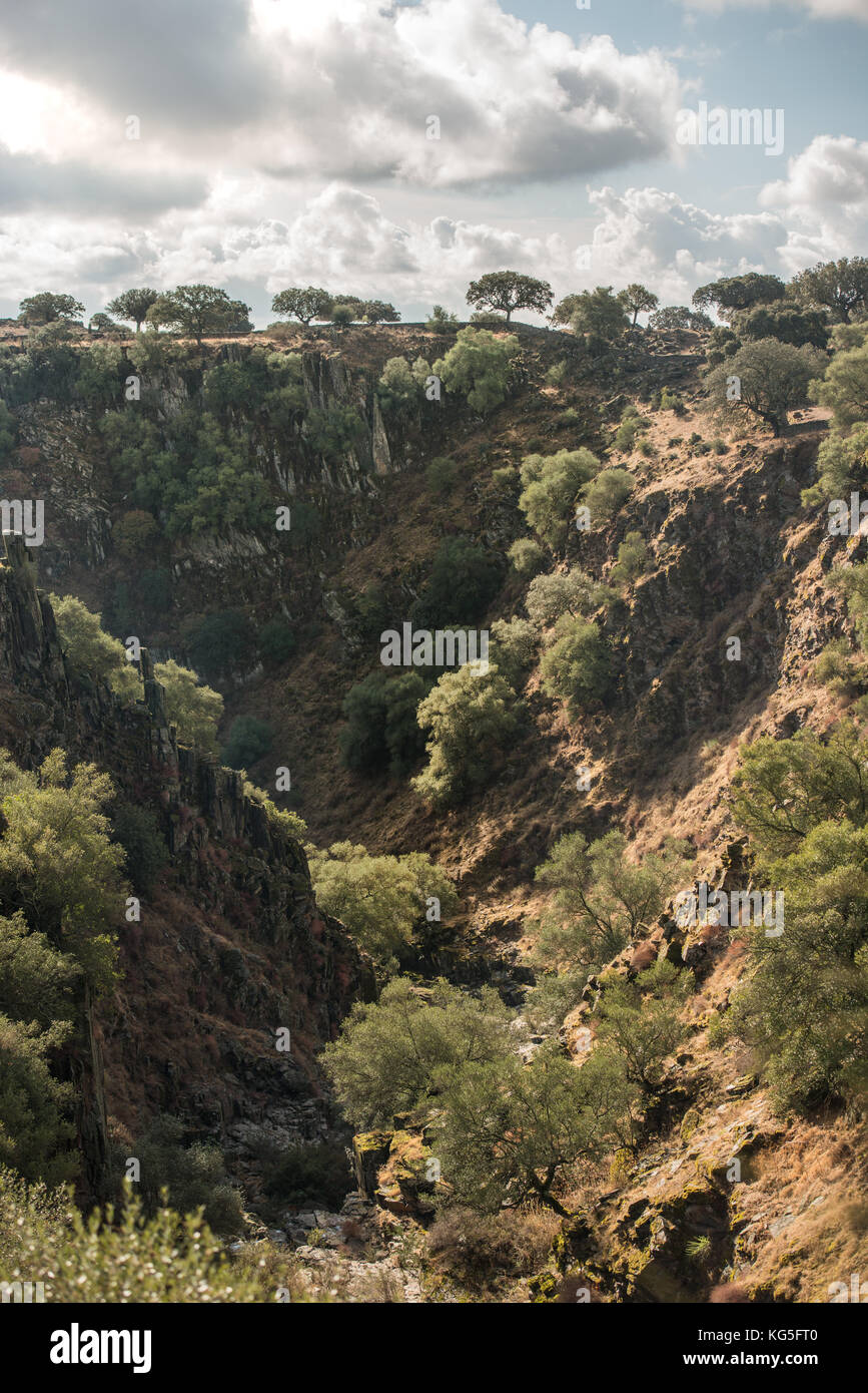 Canyon terrain surrounded by greenery in the middle of the steppe of ...
