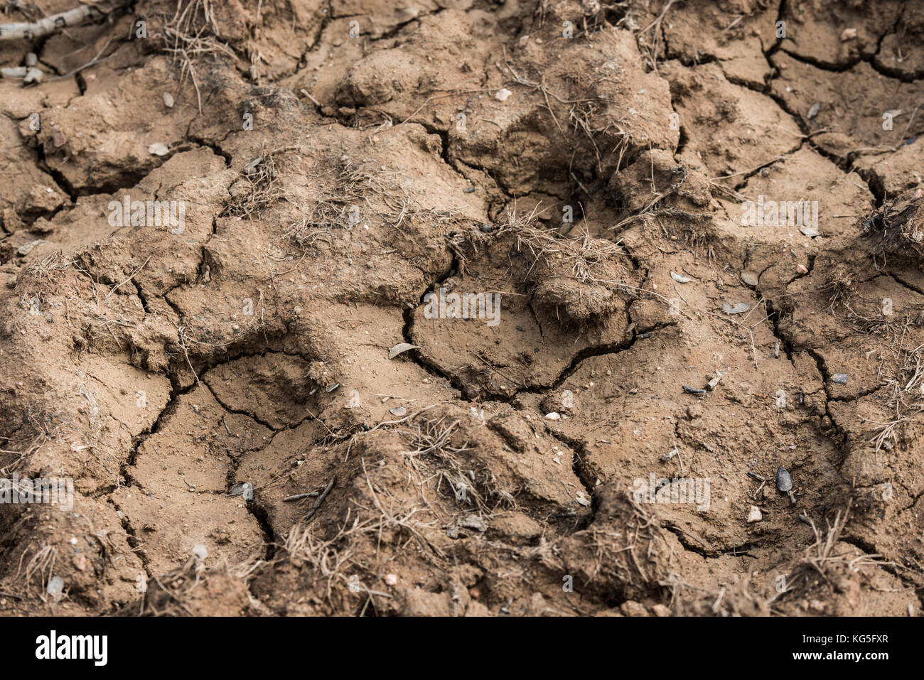 Detail of a dry mud floor Stock Photo - Alamy