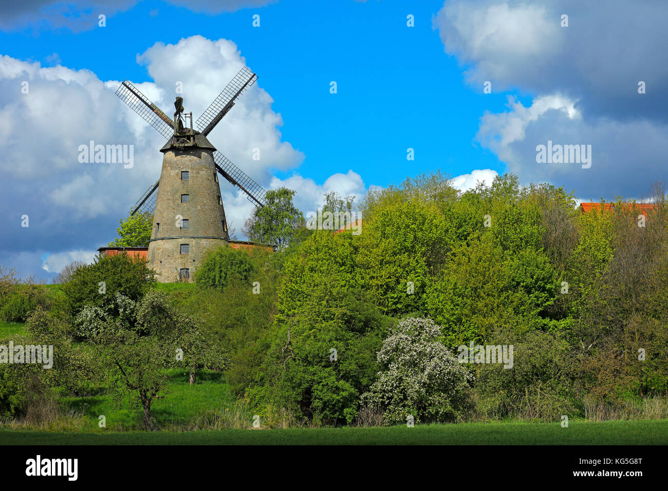 Smock Mill in thick stock of trees in Westfälische Mühlenstrasse close ...