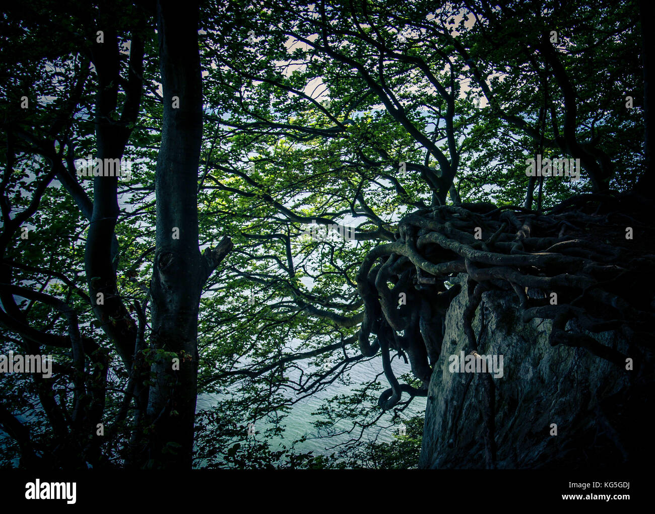 Cliff slope hi-res stock photography and images - Alamy