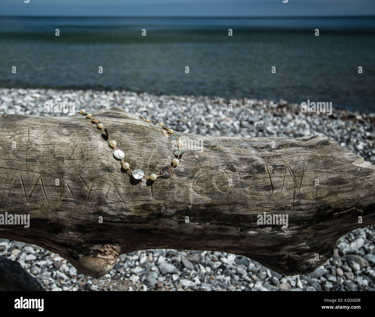Trunk on the beach Stock Photo - Alamy