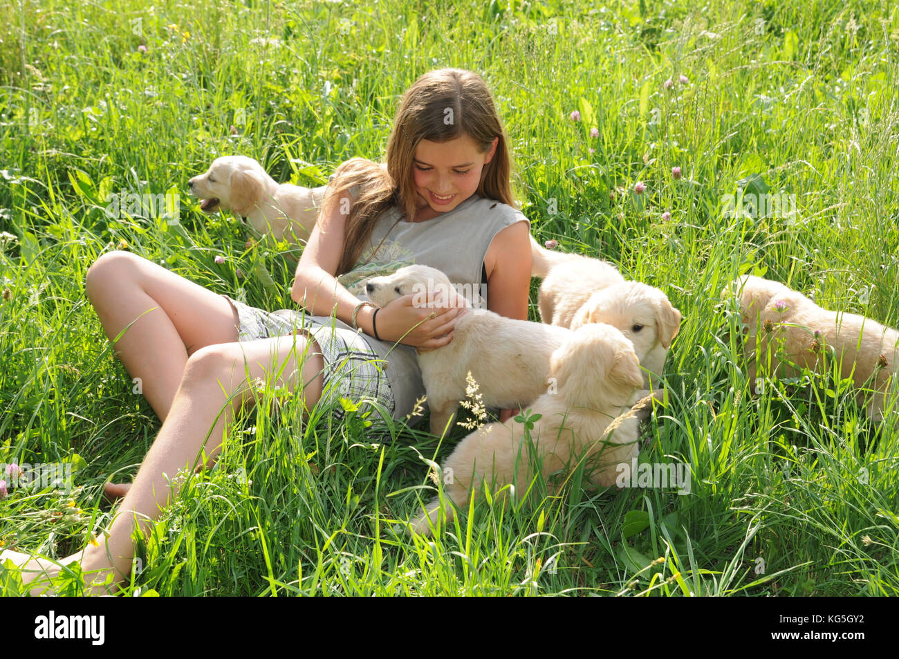 Girls with Golden retriever dog puppies in the garden Stock Photo - Alamy