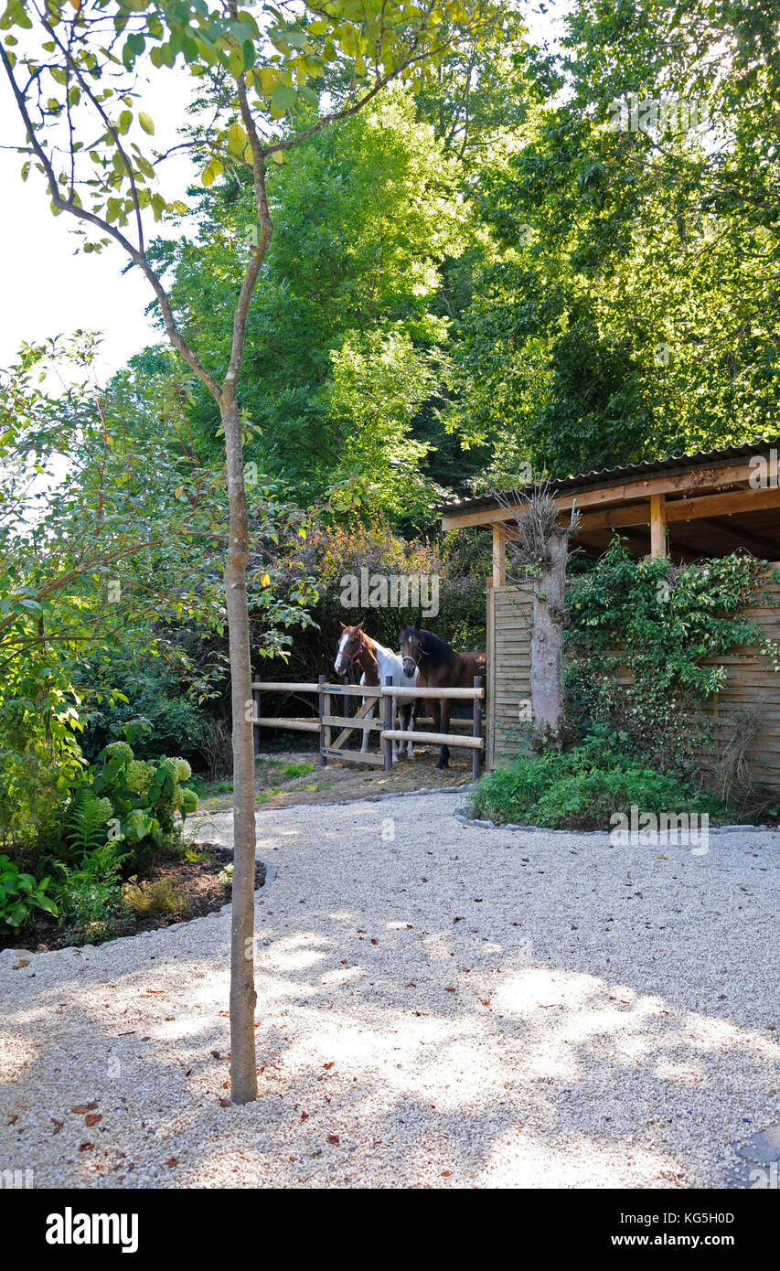 horse stable in own garden Stock Photo - Alamy