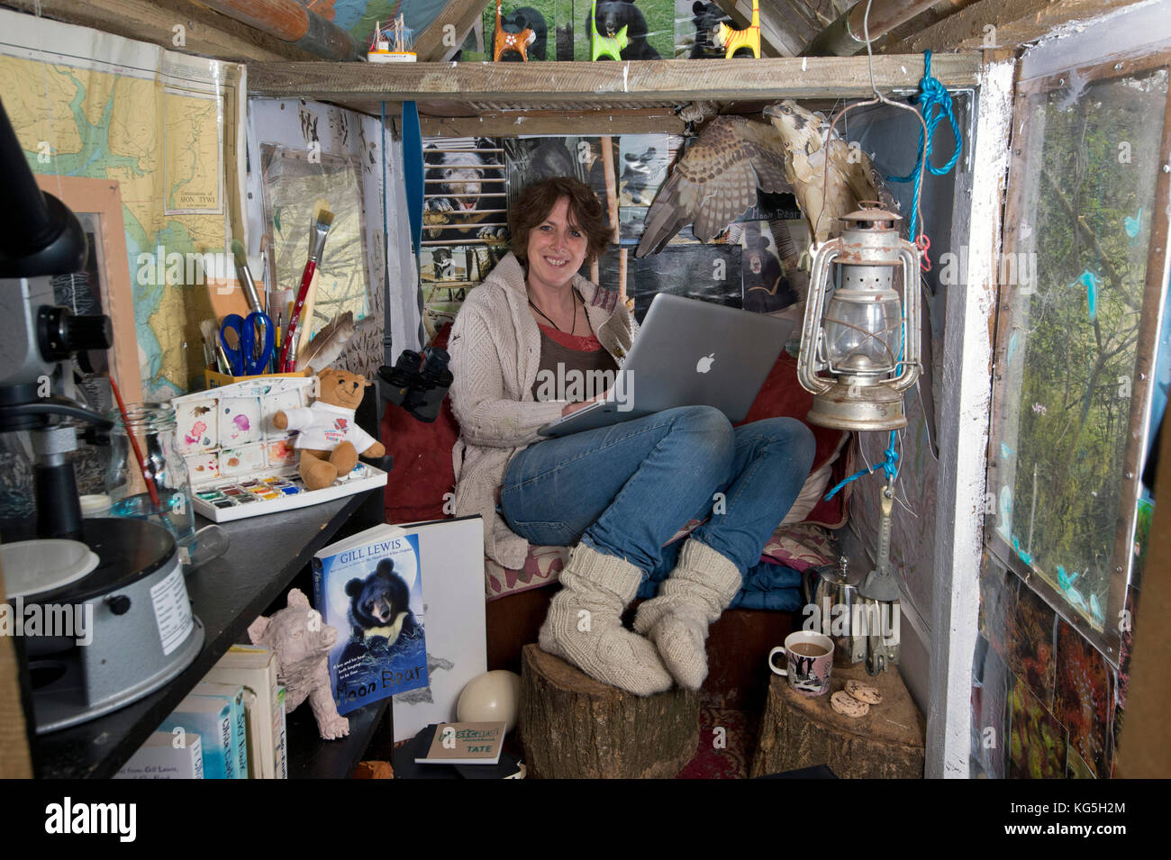 Gill Lewis, children's author in her tree house Stock Photo - Alamy