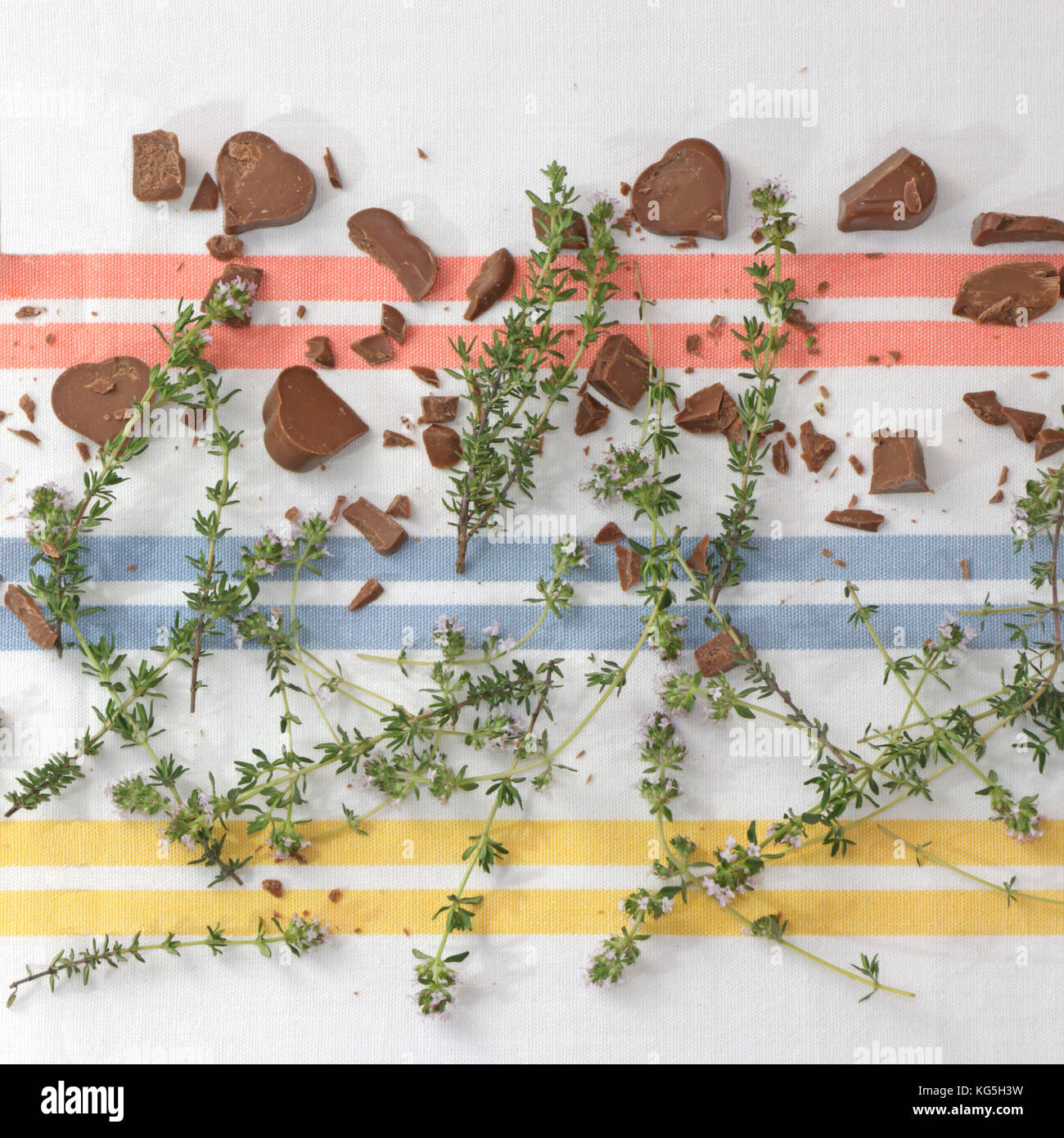 chocolate and thyme Stock Photo - Alamy