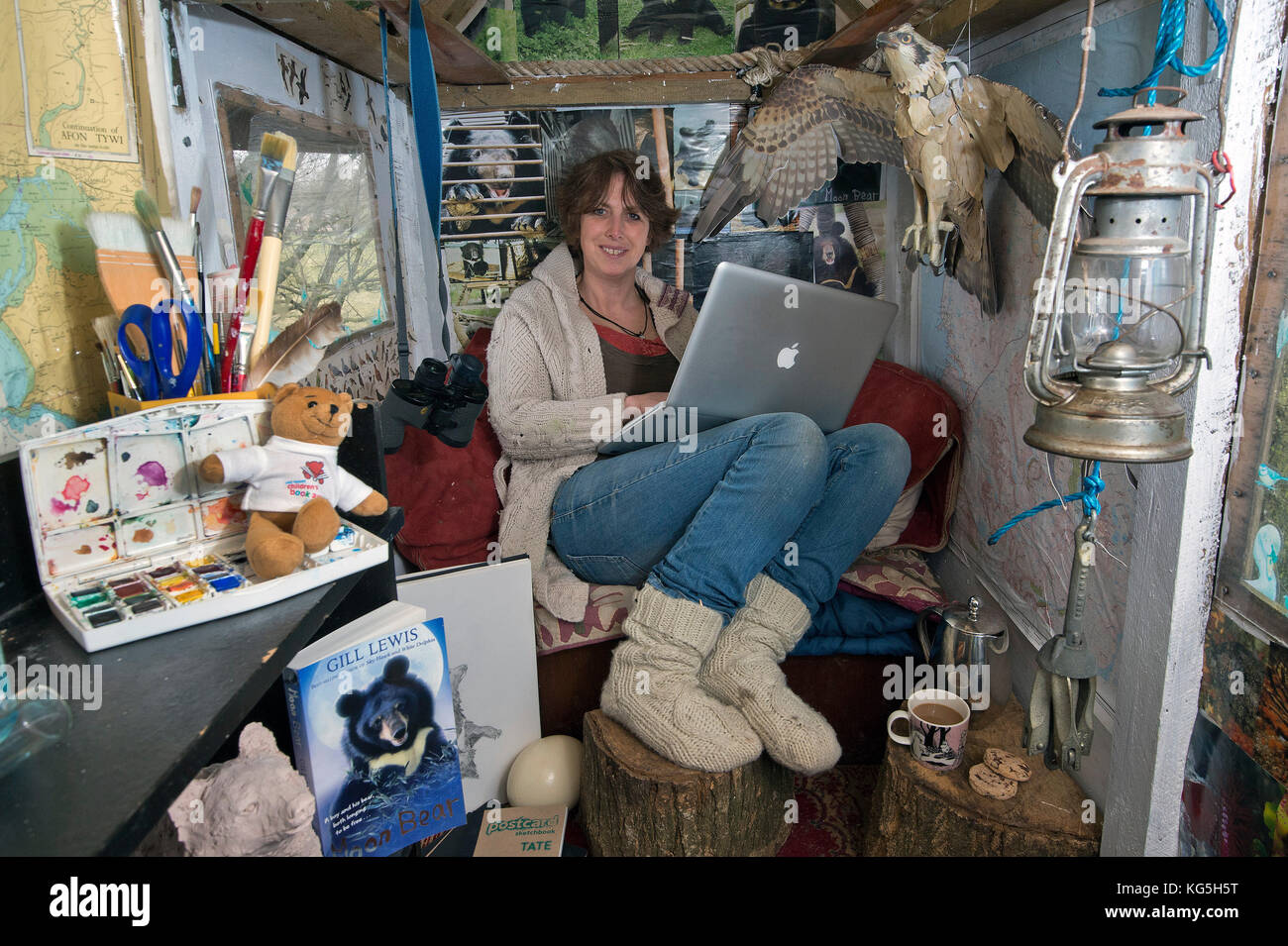 Gill Lewis, children's author in her tree house Stock Photo - Alamy