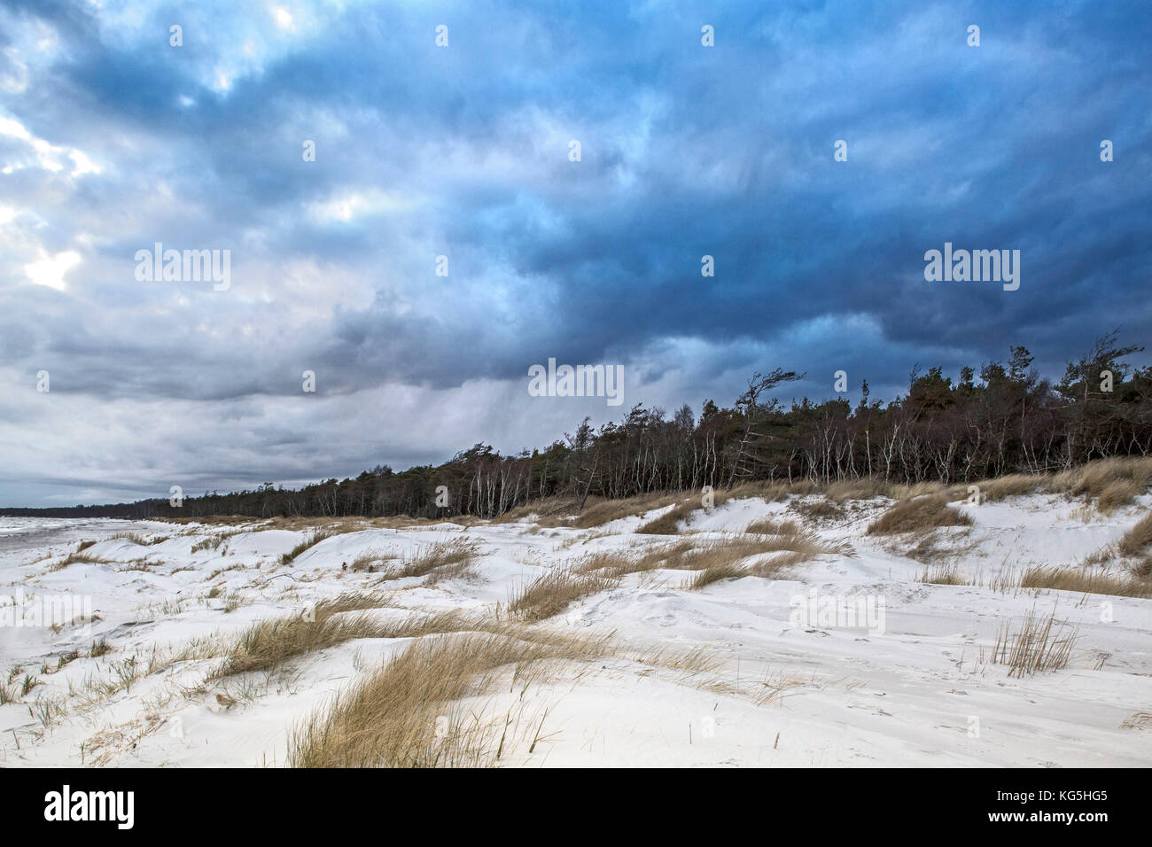 Beach of Dueodde, Bornholm, Denmark Stock Photo - Alamy