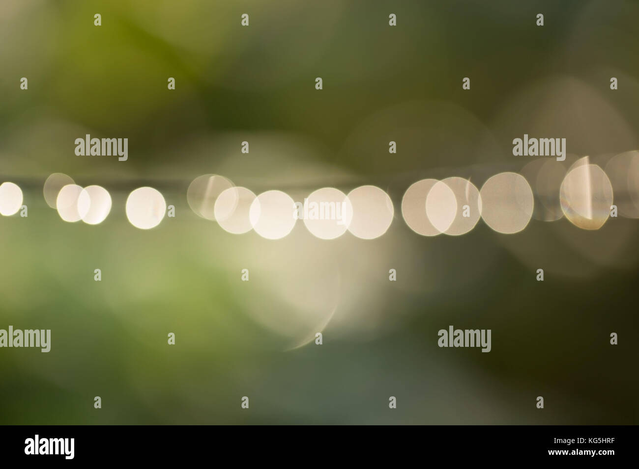 Nature light hi-res stock photography and images - Alamy