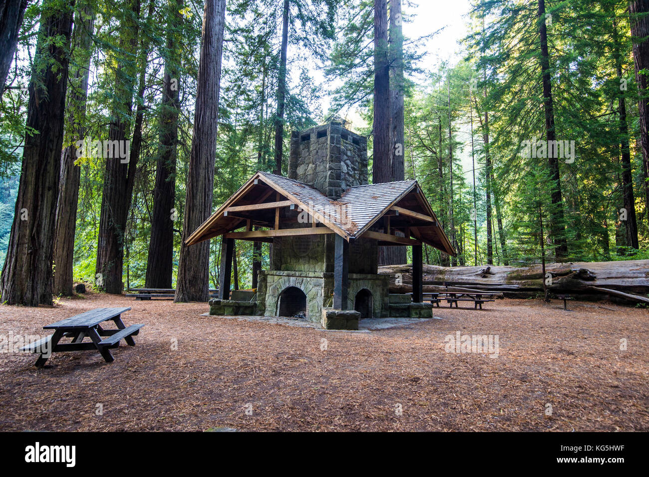 Rest area in the Avenue of the Giants, Northern California, USA Stock ...