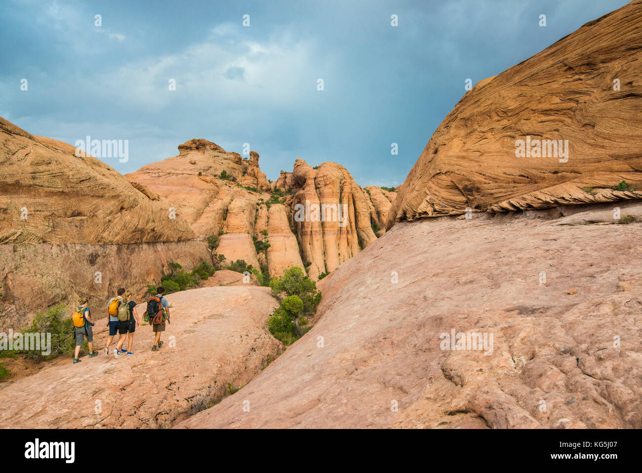 Slick rock trail hi-res stock photography and images - Alamy