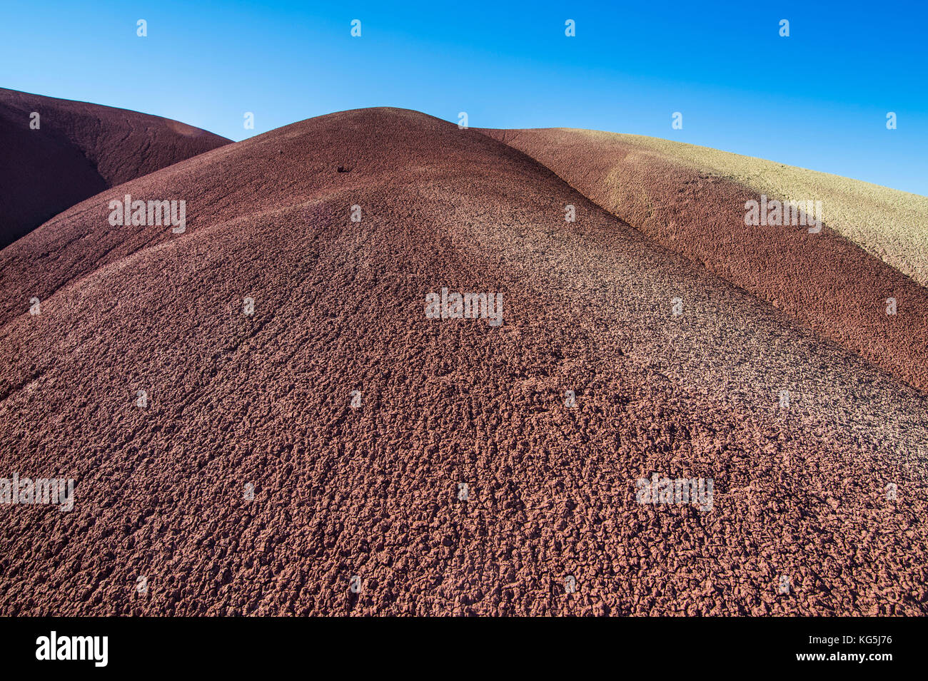 Multicoloured strata hill in the Painted hills unit in the John Day ...