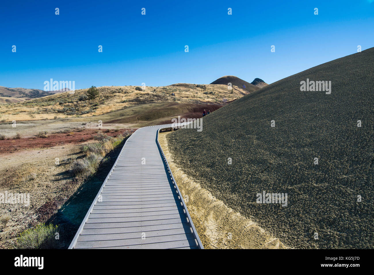 Multicoloured strata hill in the Painted hills unit in the John Day ...