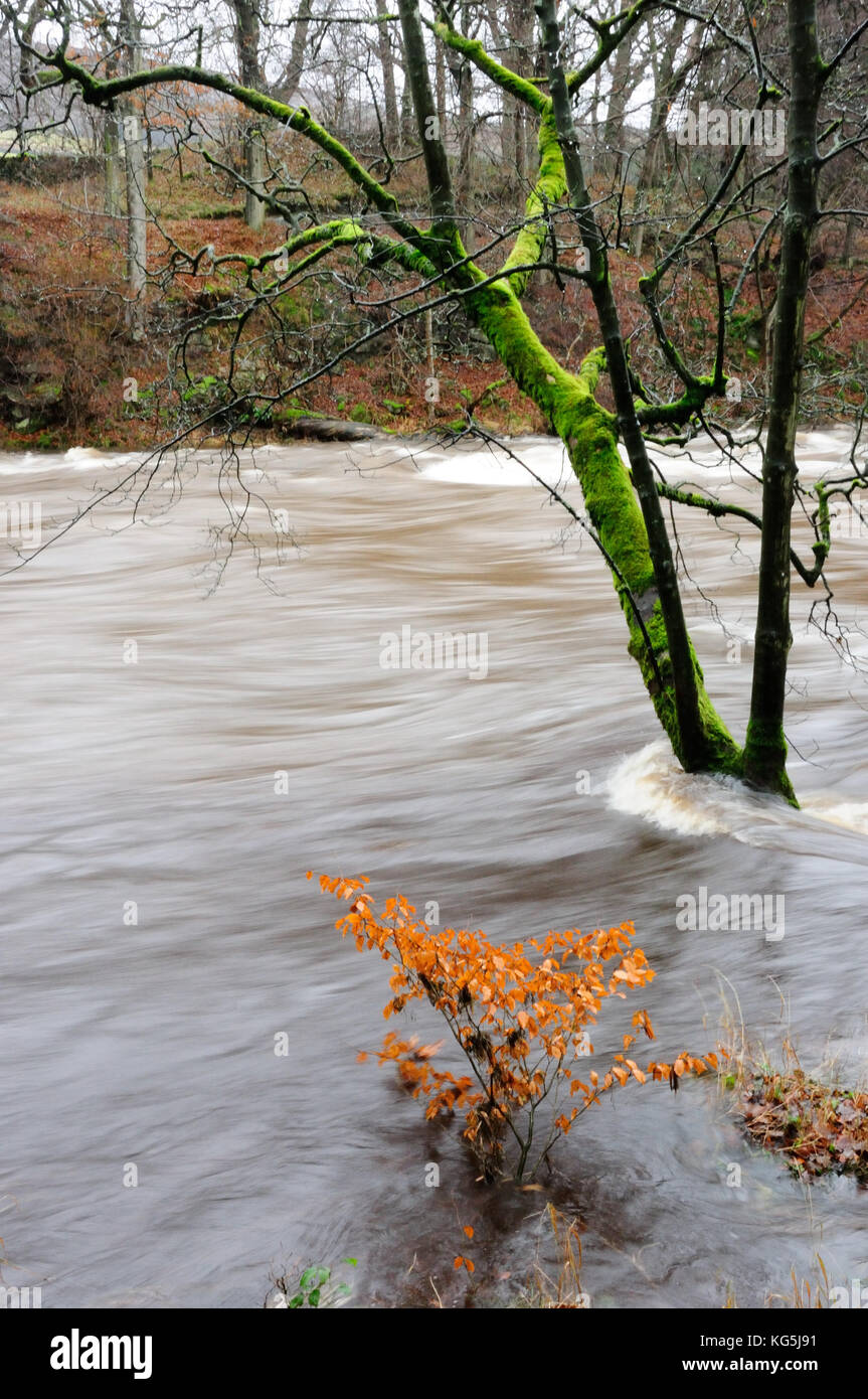 Running river at autumn Stock Photo - Alamy