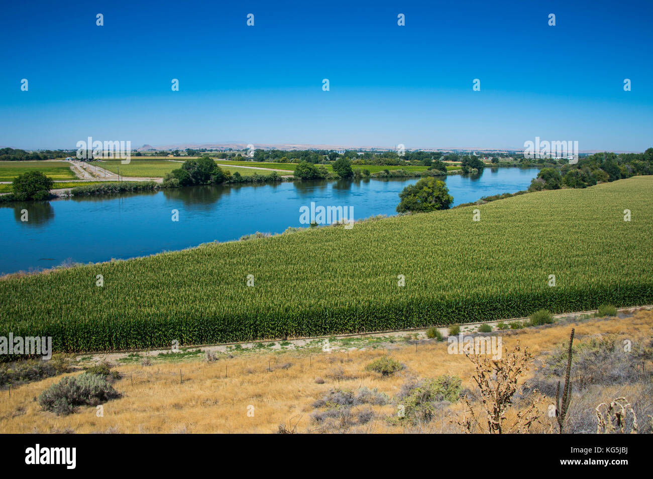 Oregon snake hi-res stock photography and images - Alamy