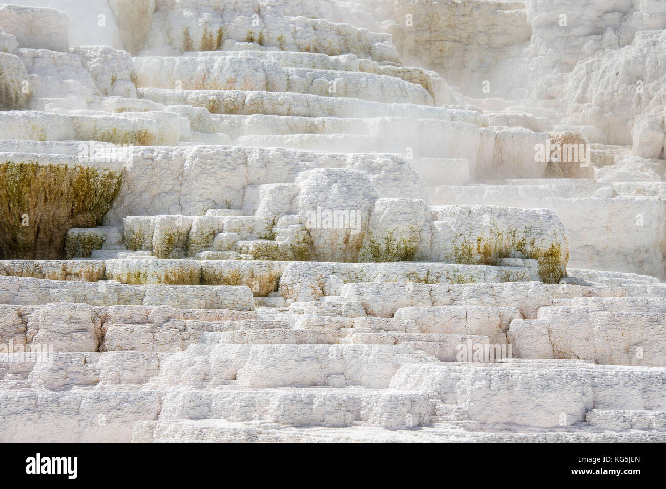 Travertine terraces in Mammoth hot springs terraces, Yellowstone ...