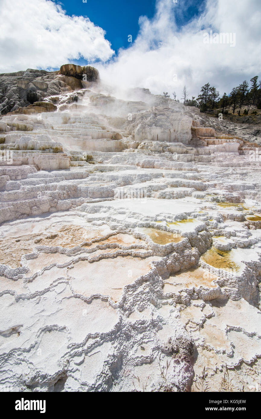 Travertine terraces yellowstone hi-res stock photography and images - Alamy