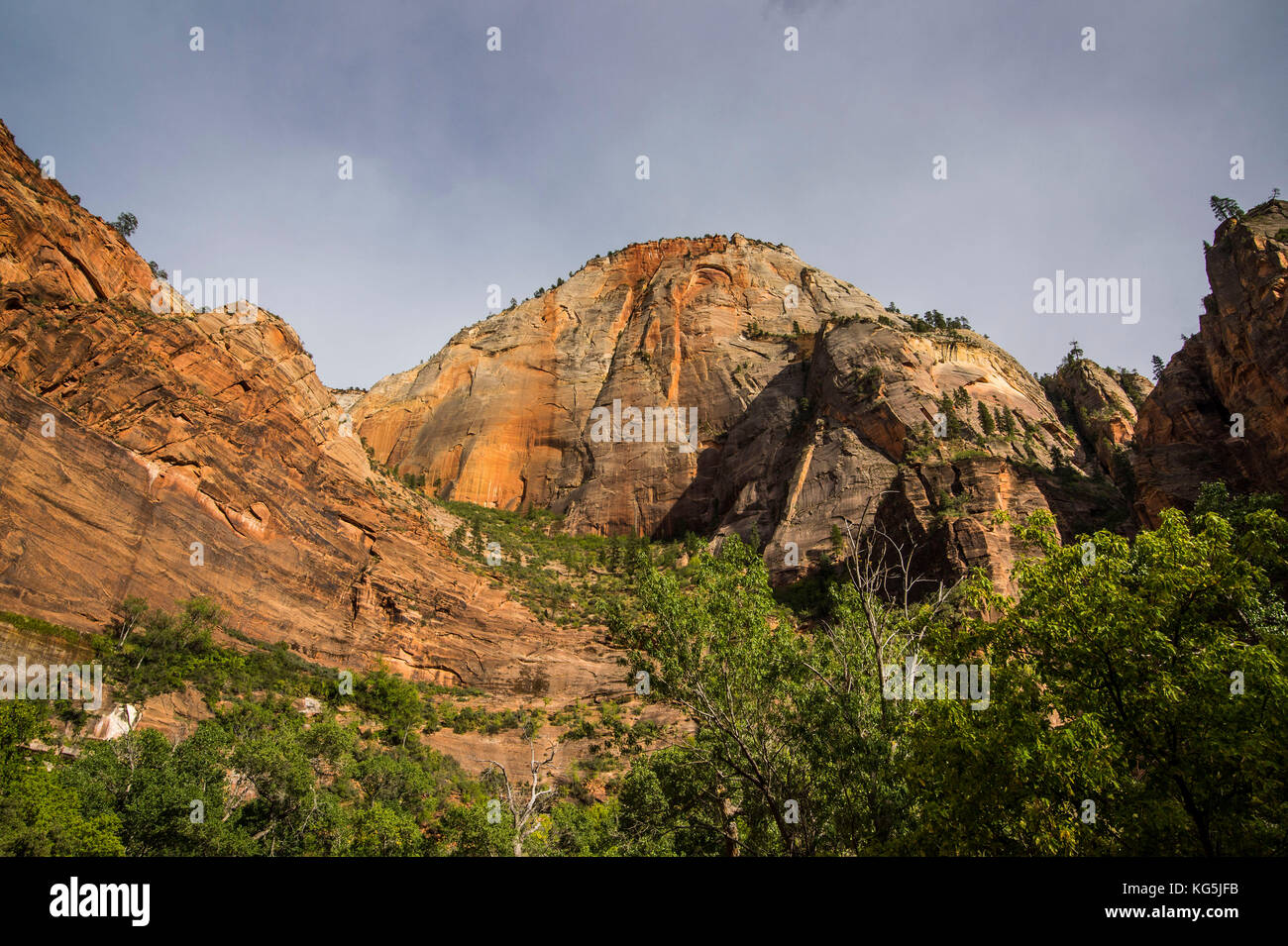 The towering cliffs of the Zion National Park, Utah, USA Stock Photo ...