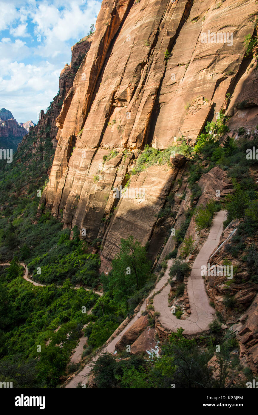 Overlook over the cliffs of the Zion national Park and the Angel´s ...