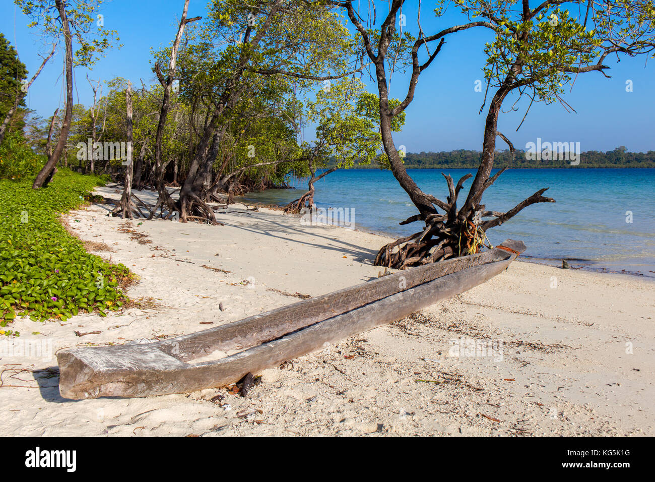 A dugout canoe on a beach near-coastal mangrove belt Stock Photo - Alamy