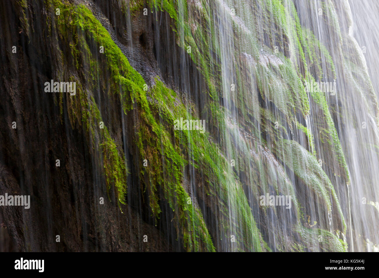 Hughs Dale Waterfall, Christmas Island, Australia Stock Photo - Alamy