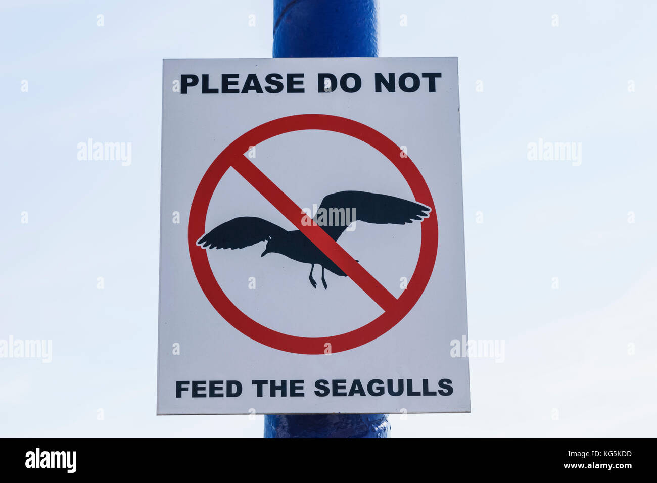 England, East Sussex, Eastbourne, Do Not Feed The Seagull Sign Stock ...