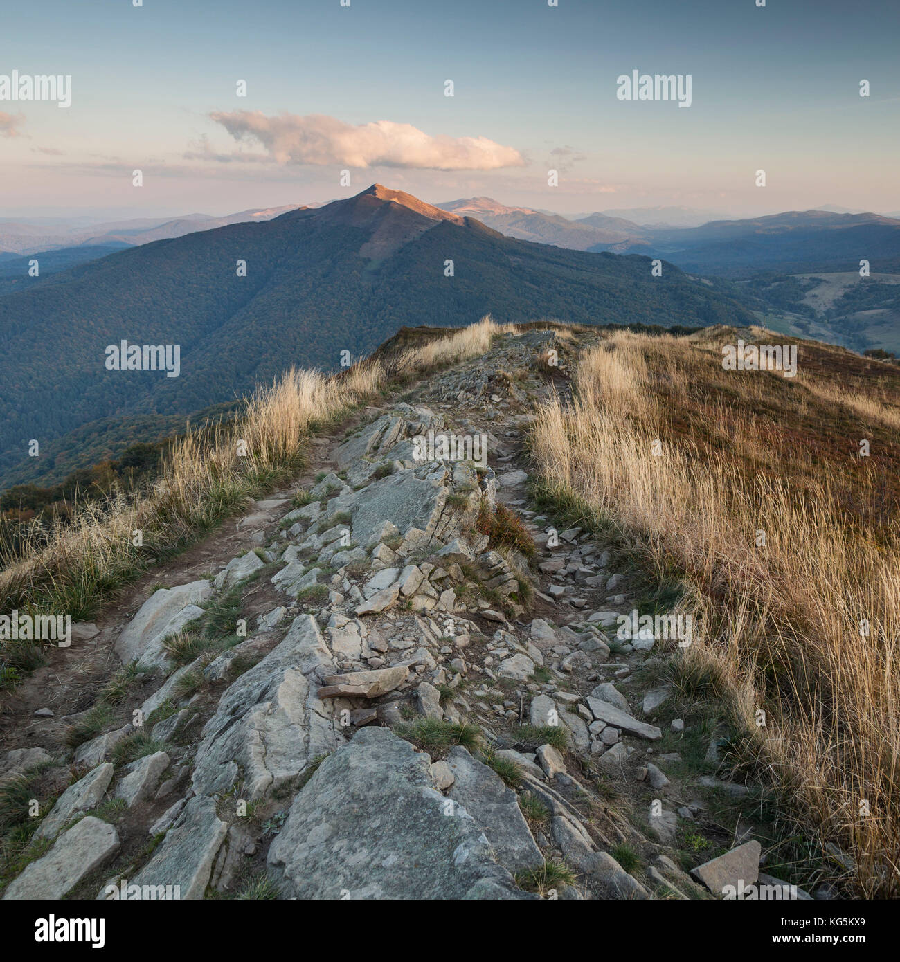 Europe, Poland, Podkarpackie Voivodeship, Bieszczady, Polonina ...