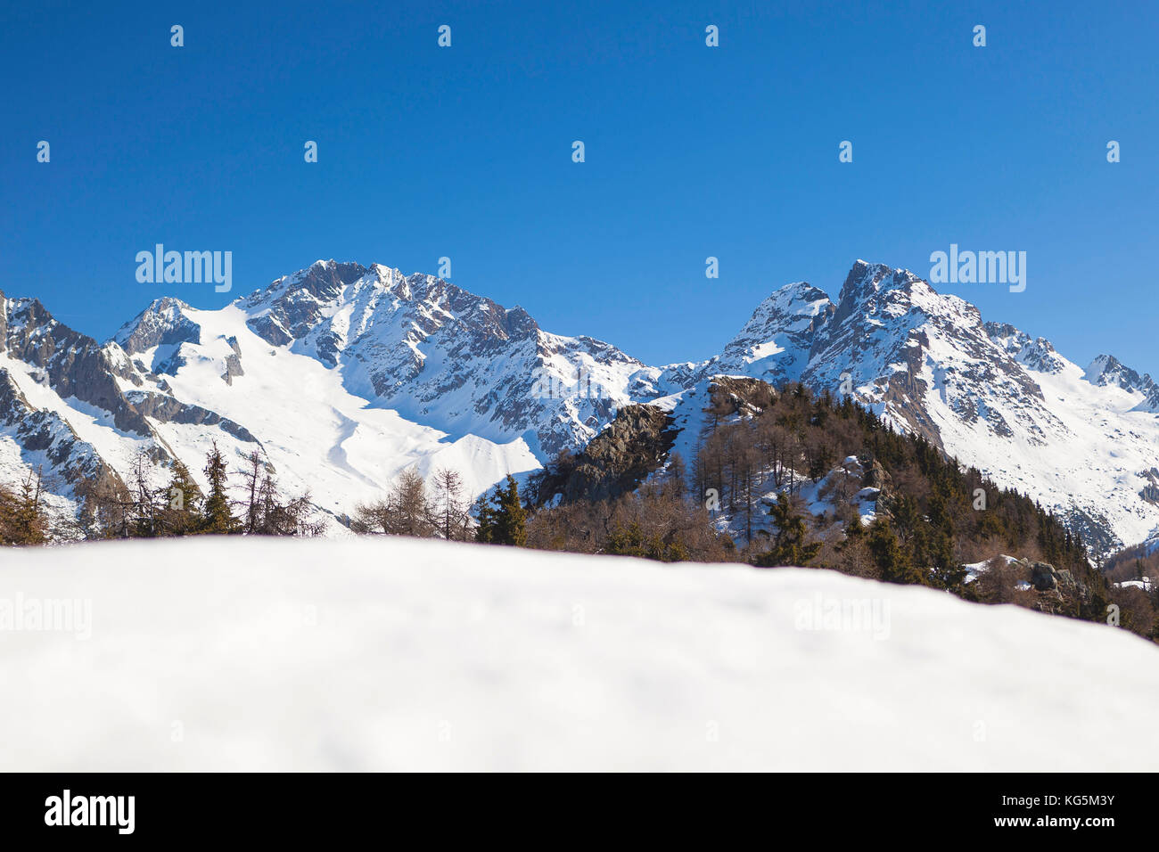 The snowy peak of Mount Disgrazia framed by blue sky Alpe Granda ...