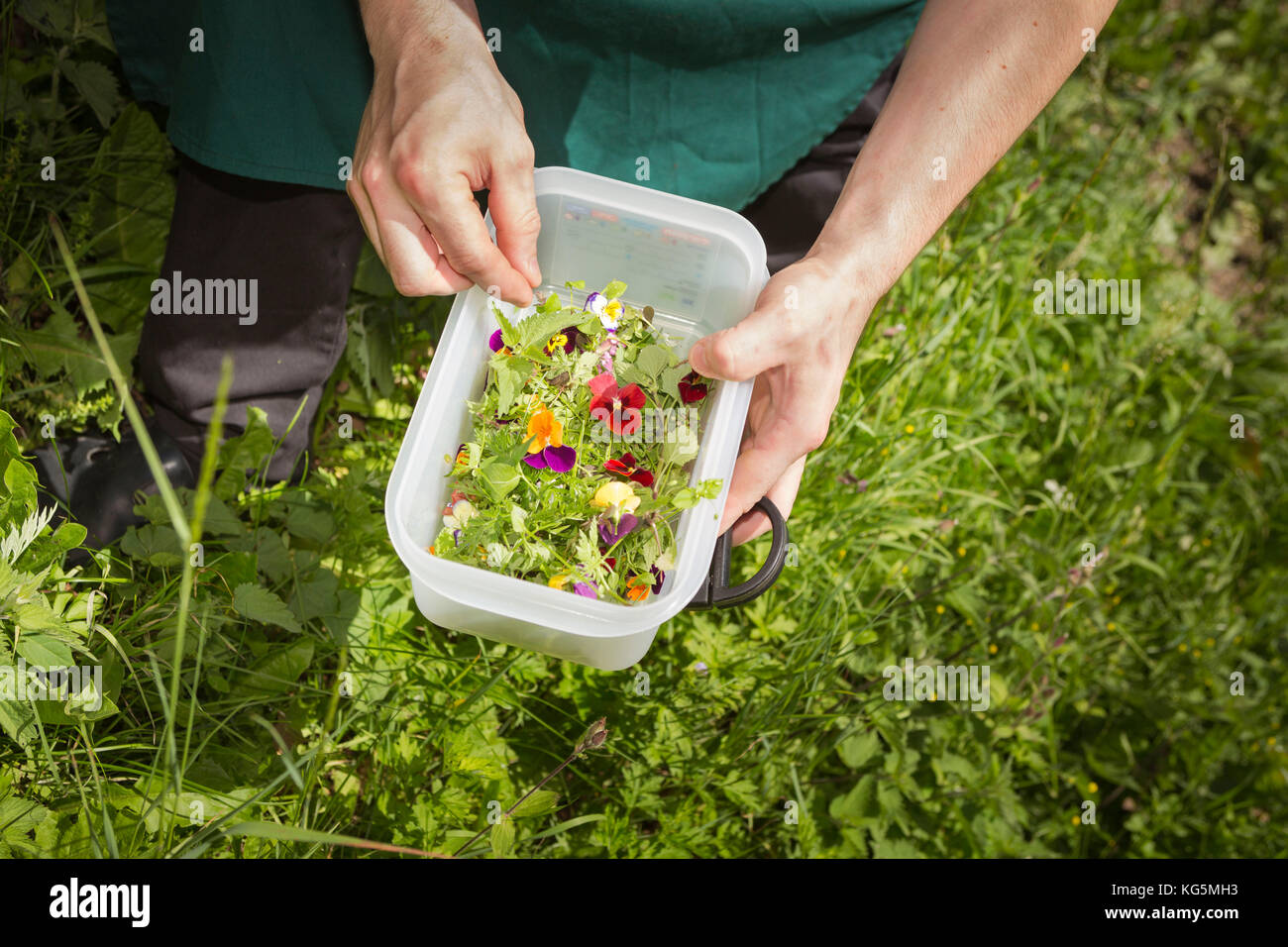 Pick flowers hi-res stock photography and images - Alamy