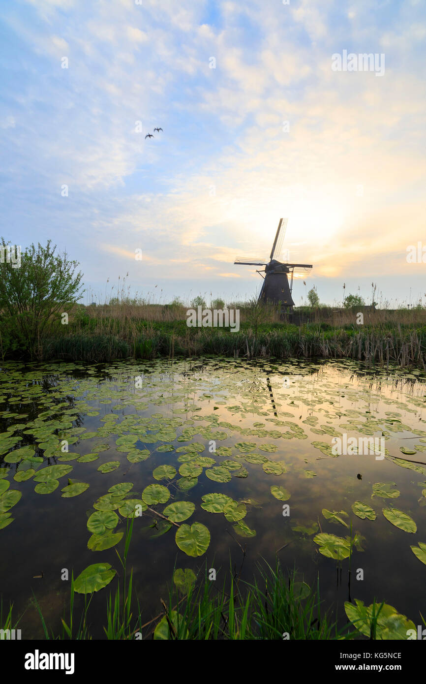 Dutch windmill on kinderdijk hi-res stock photography and images - Alamy