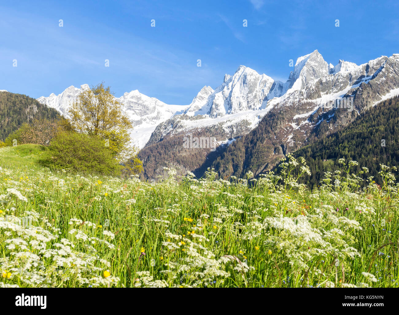 Spring in swiss mountains hi-res stock photography and images - Alamy