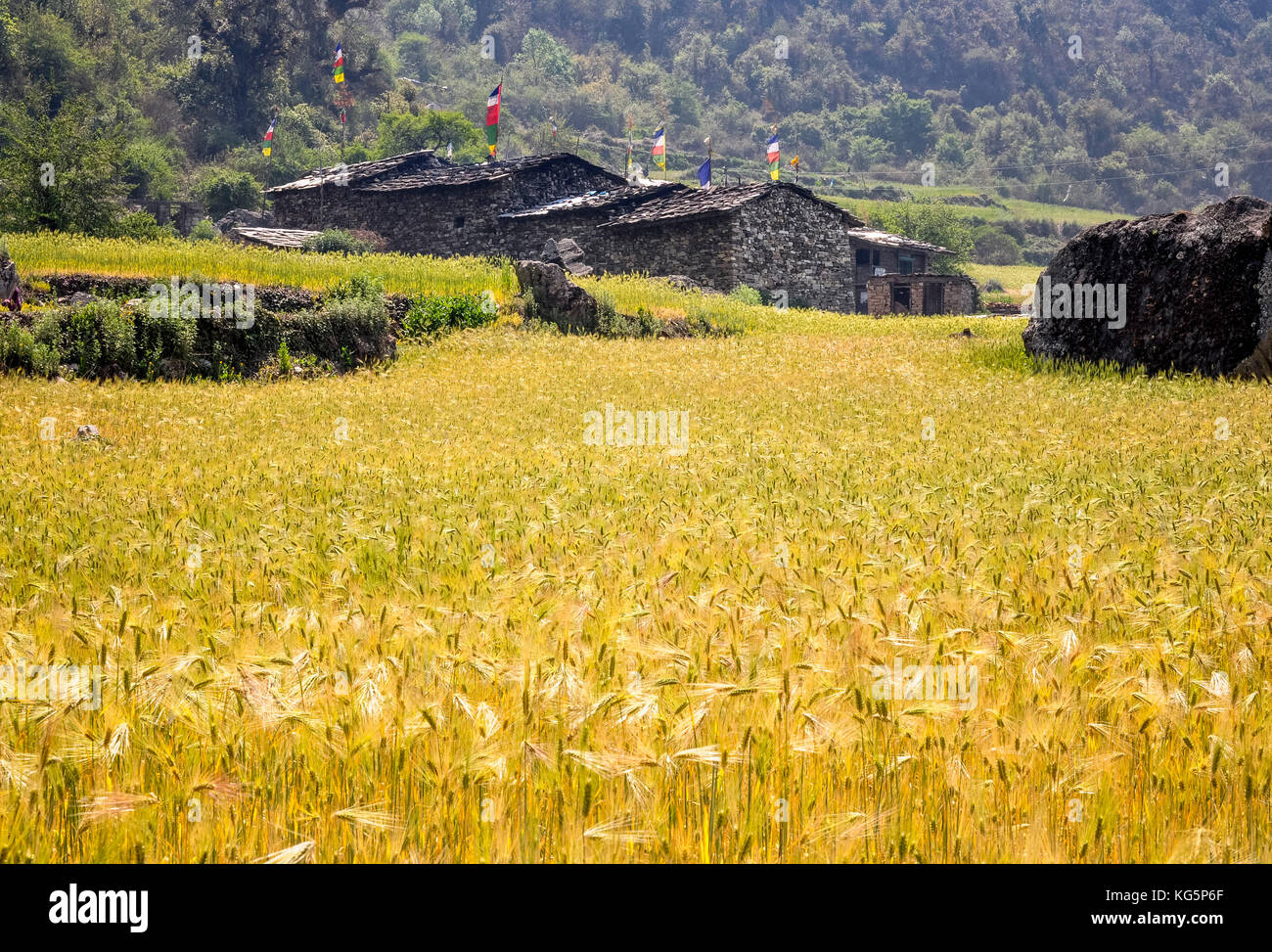 Nepal rasuwa district hi-res stock photography and images - Alamy