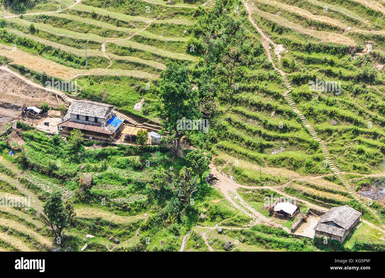 One of the many small farm that you see during the trek, Annapurna ...