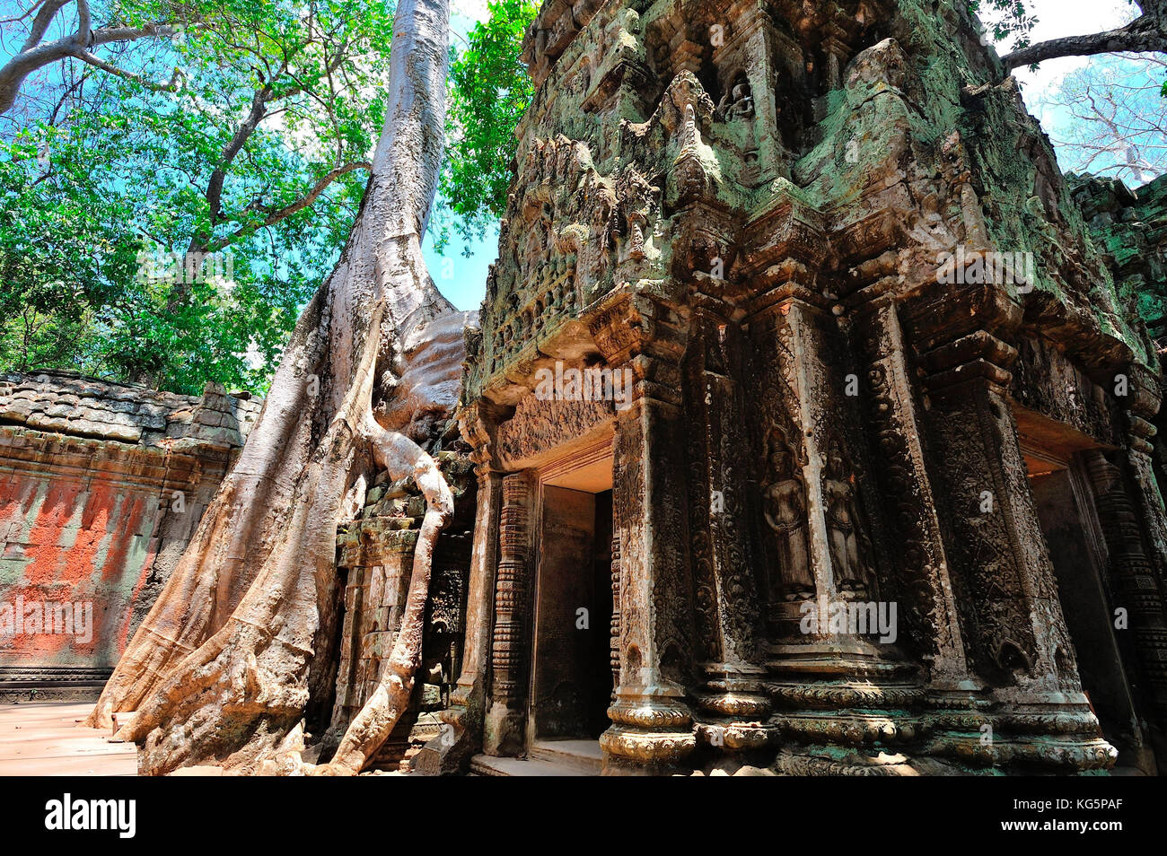 Ta prohm temple ruins hi-res stock photography and images - Alamy