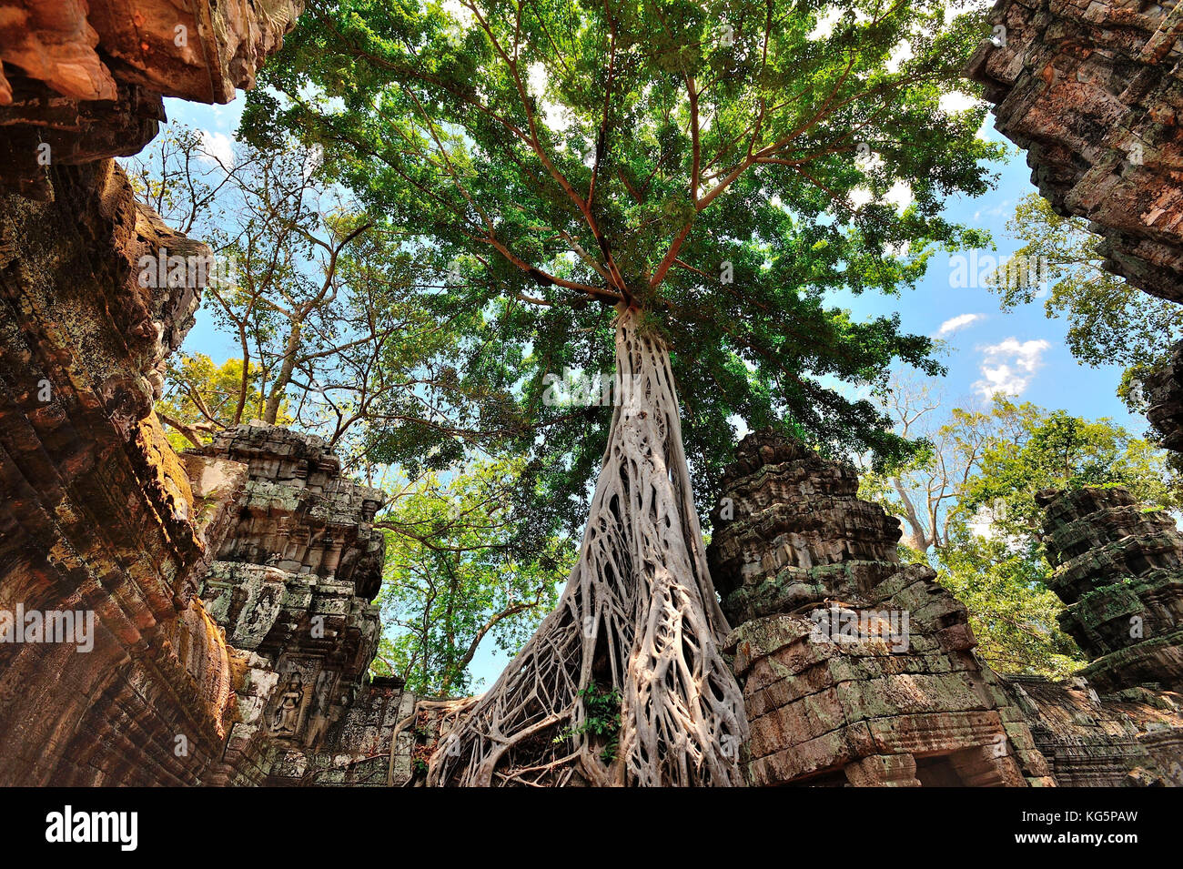 Ta prohm temple ruins hi-res stock photography and images - Alamy