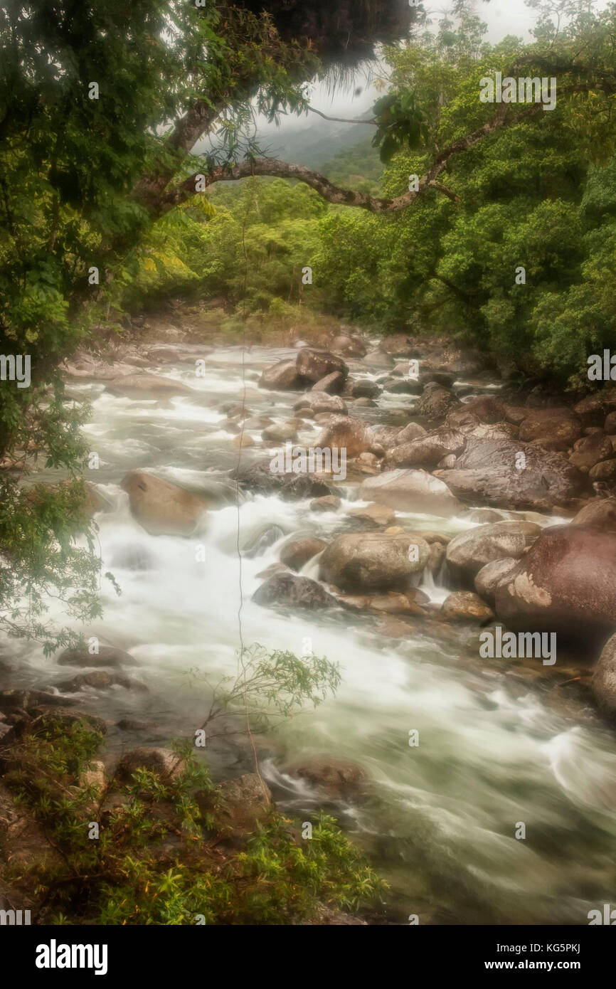 Rushing rainforest river, Mossman gorge, Australia Stock Photo - Alamy