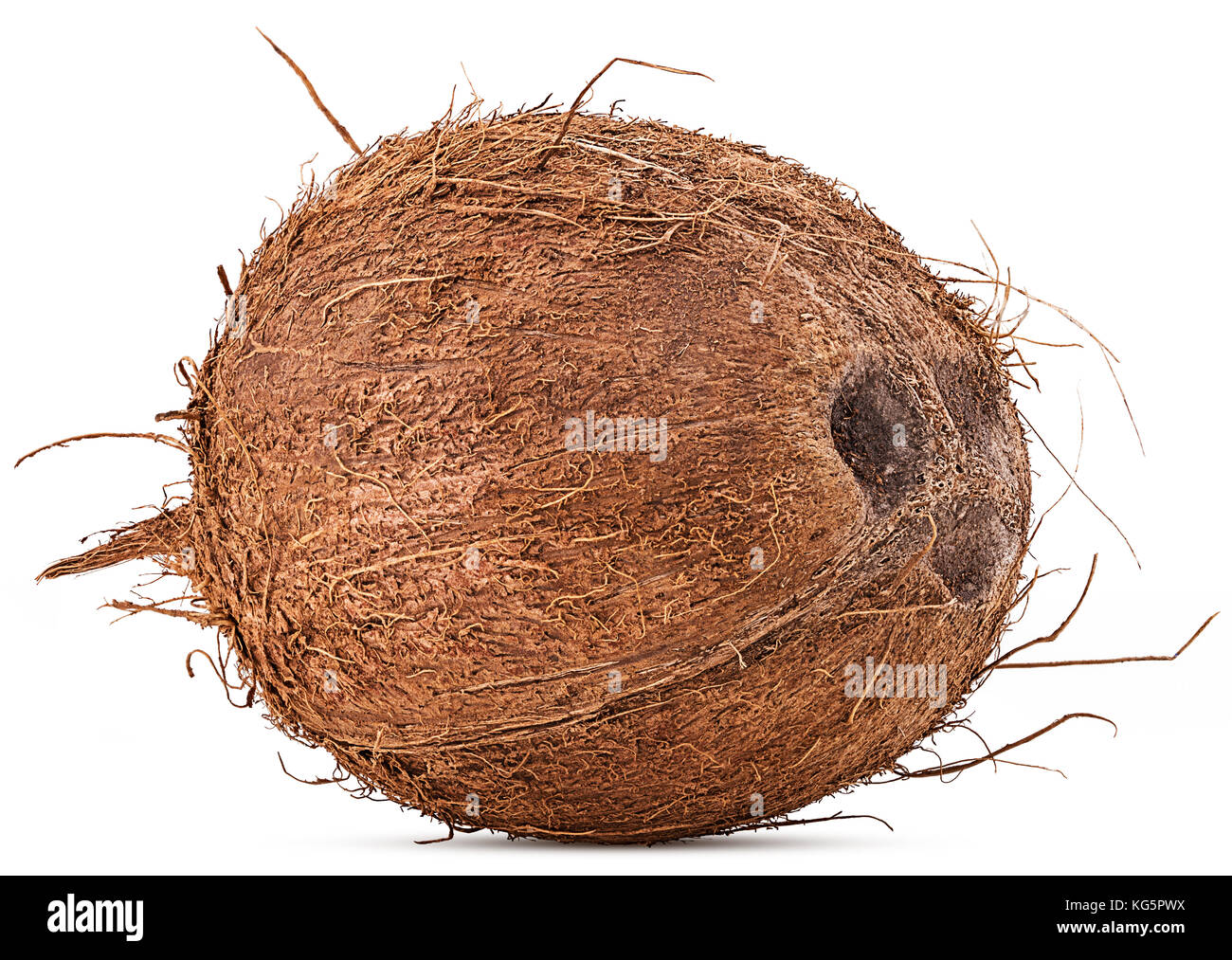 Coconut isolated on white background Stock Photo - Alamy