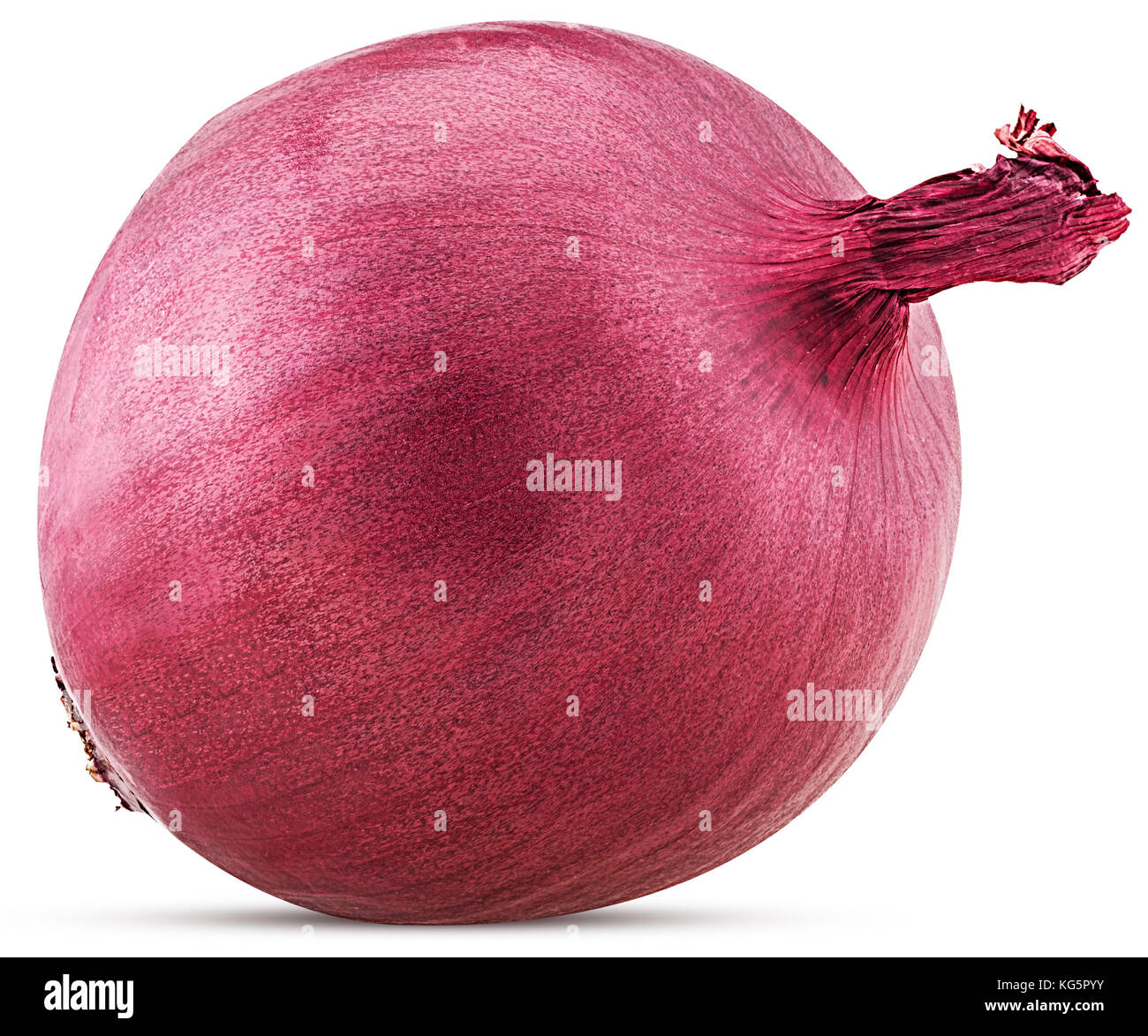 Red onion isolated on white background Clipping Path Stock Photo - Alamy