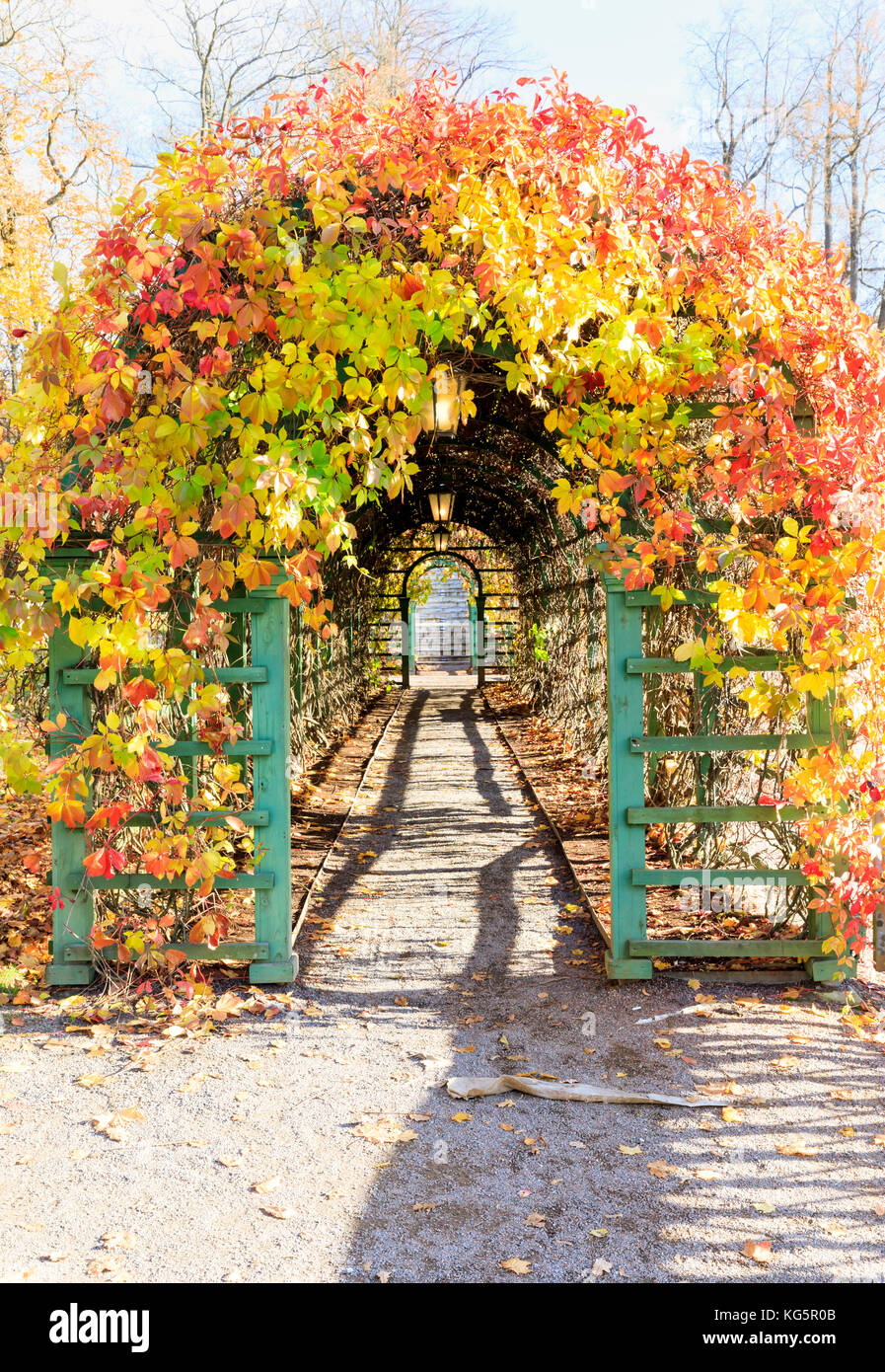 Arched alley covered with colorful autumn leaves Stock Photo - Alamy