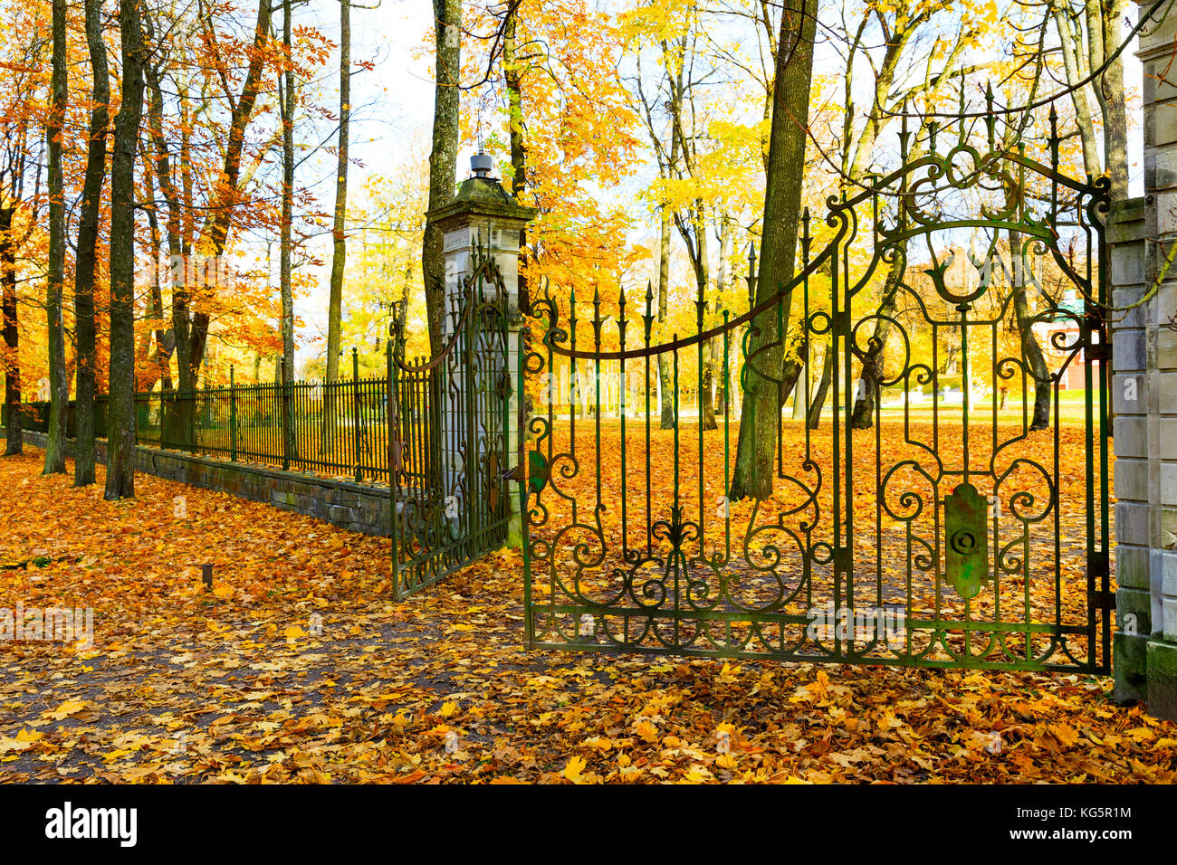 Old open metal gates in a park in Tallinn, Estonia full of fallen ...