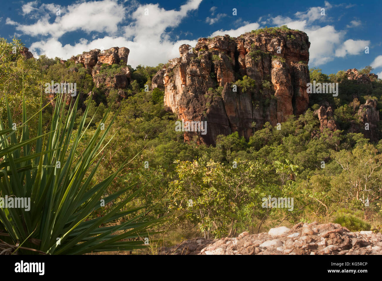 rocky outcrop and forest, Australia Stock Photo - Alamy