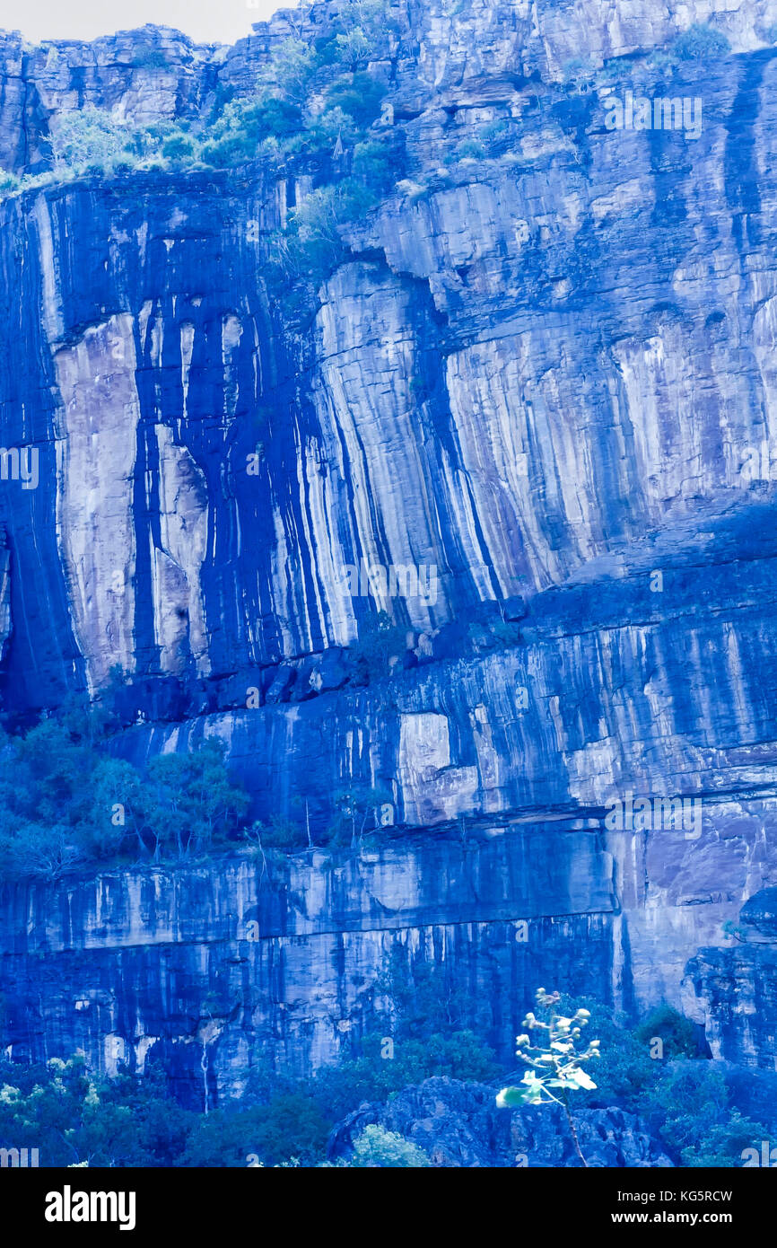 blue rock and shrub, Northern Territory, outback, australia Stock Photo ...