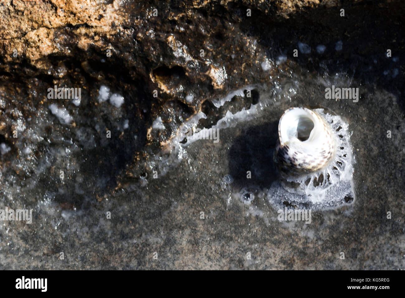 Salt spout on beach Stock Photo - Alamy
