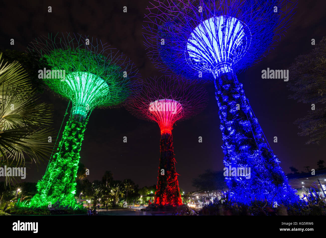 Garden by the Bay at night with Supertree Grove.The tree is a vertical ...