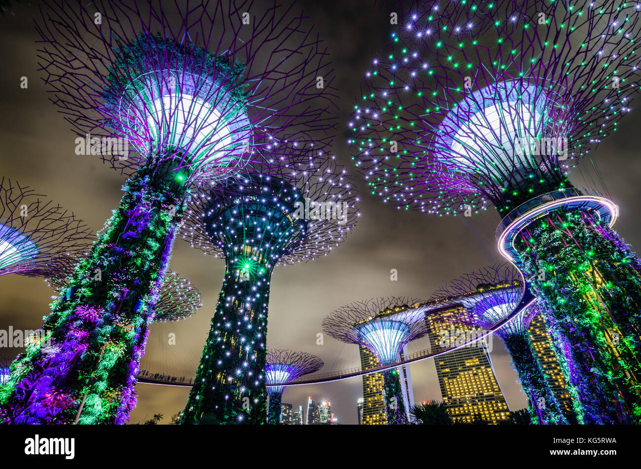 Garden by the Bay at night with Supertree Grove.The tree is a vertical ...