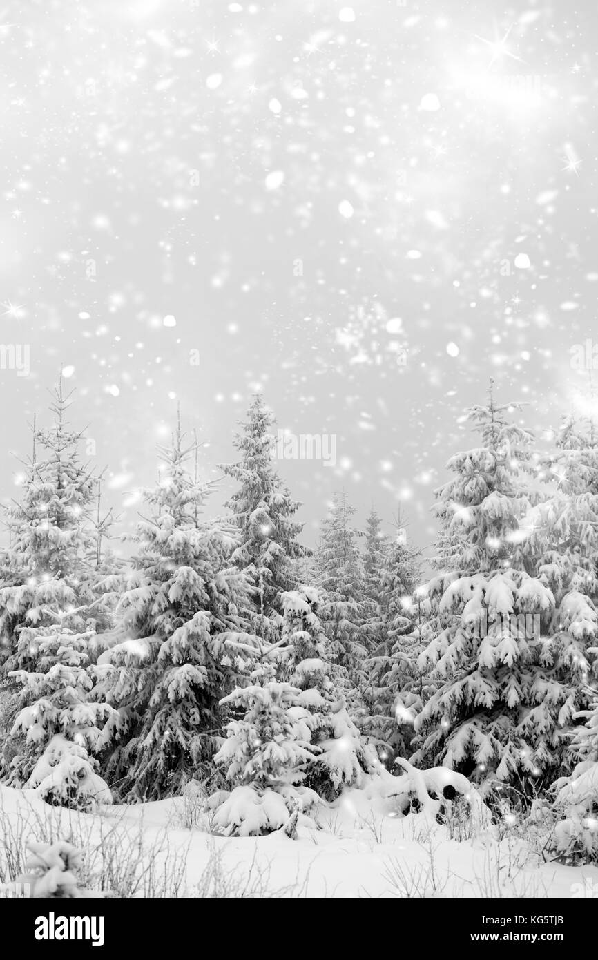 Covered in silver Black and White Stock Photos & Images - Alamy