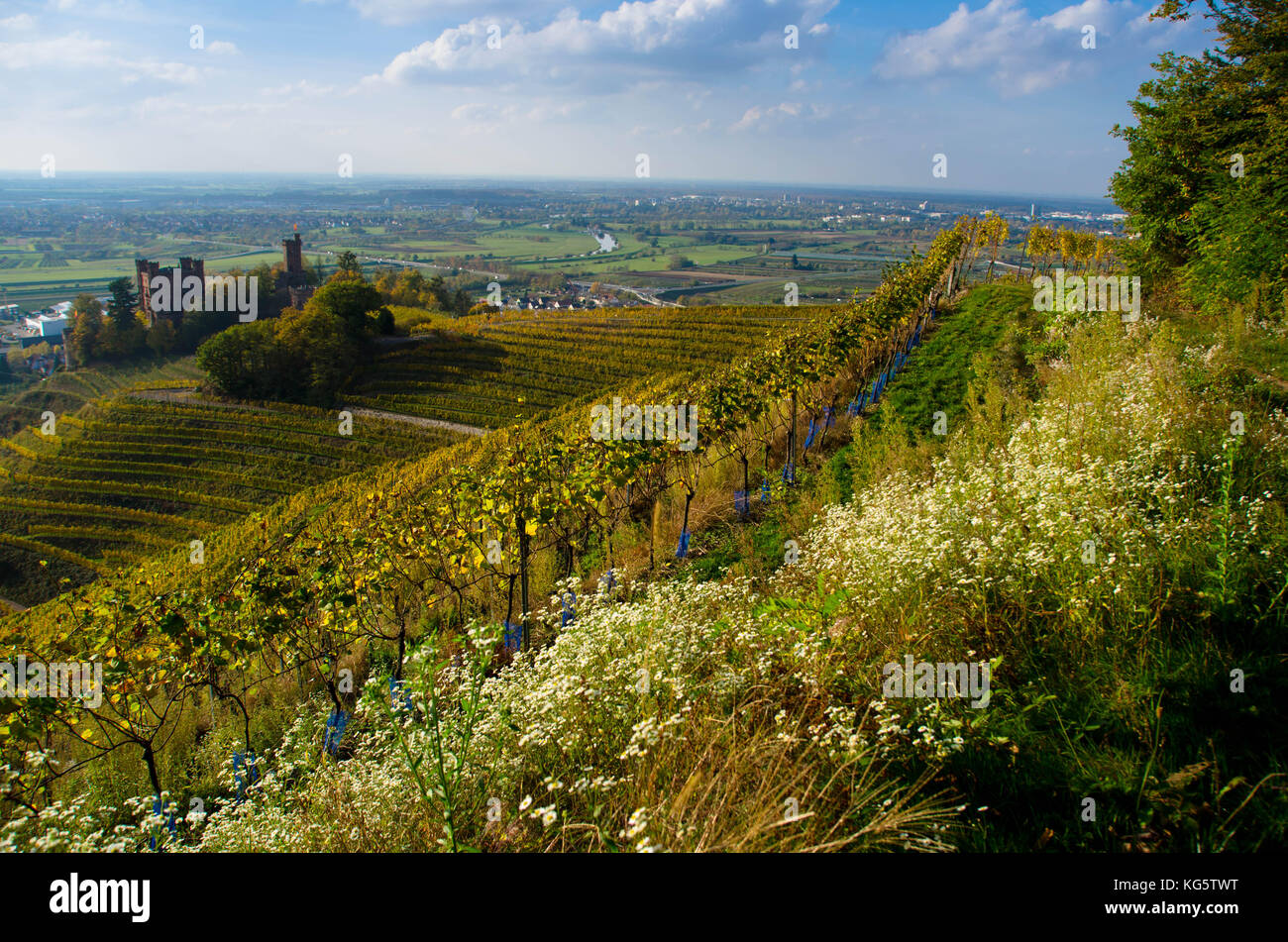 The Ortenburg castle in South West Germany Stock Photo - Alamy