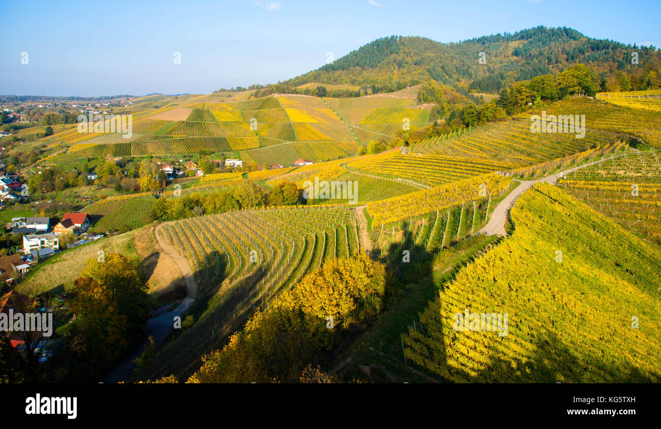 Vineyards above Ortenberg in South west germany Stock Photo - Alamy