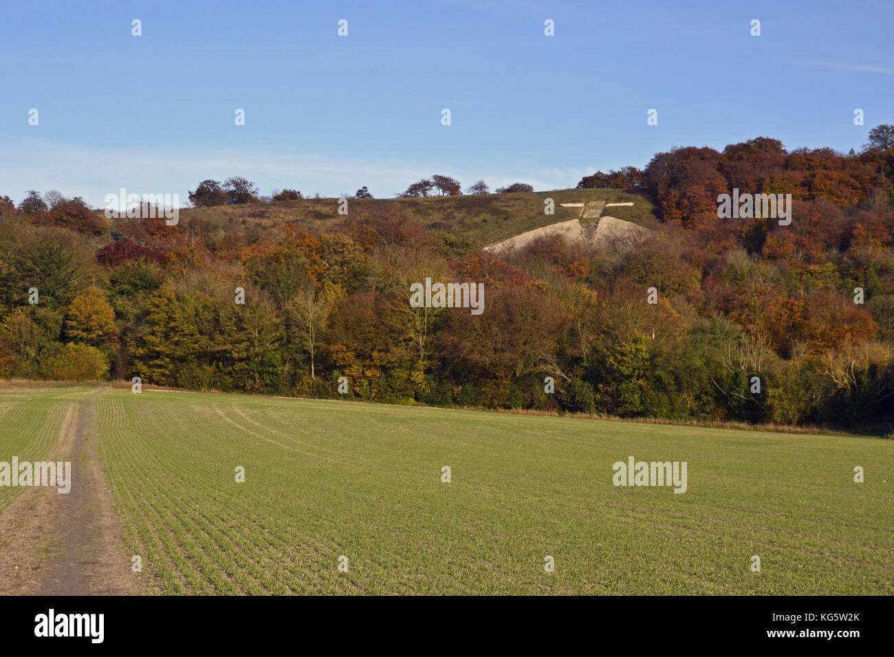 Whiteleaf Cross in autumn, Princes Risborough, UK Stock Photo - Alamy