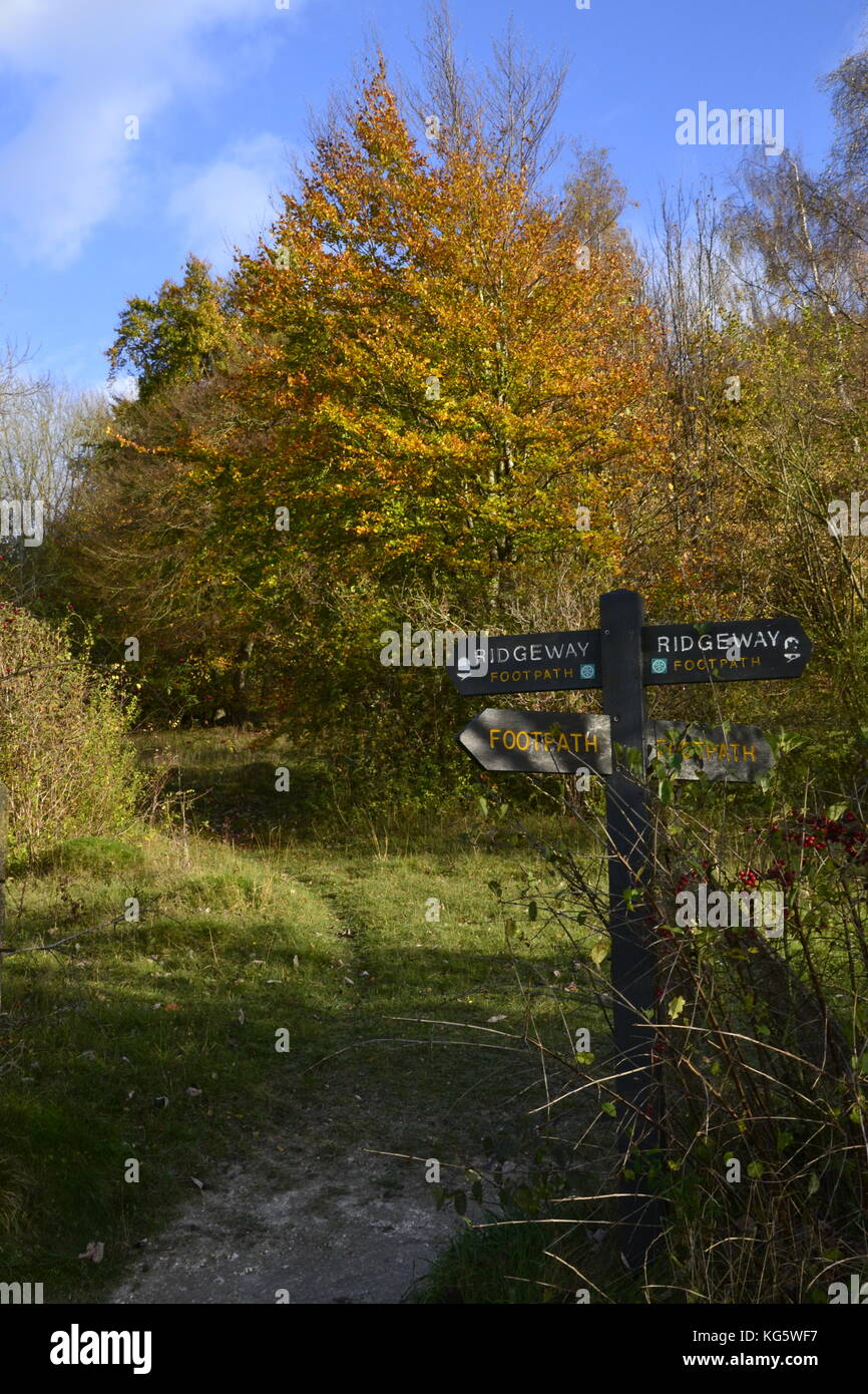 Sign for The Ridgeway Path on a route through the Rifle Range, Pulpit ...